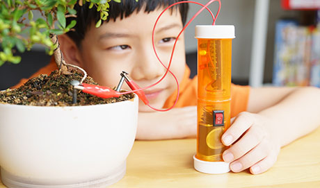 Georgia Standards of Excellence Aligned Solutions | Georgia Education